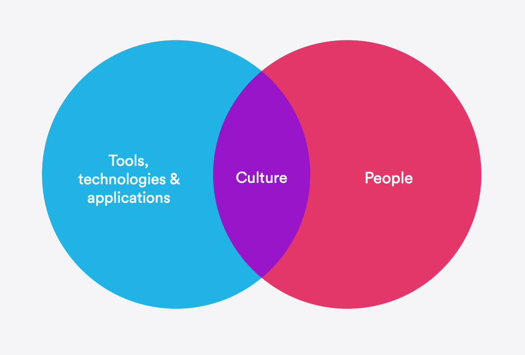 What is a digital workplace? | Interact Software